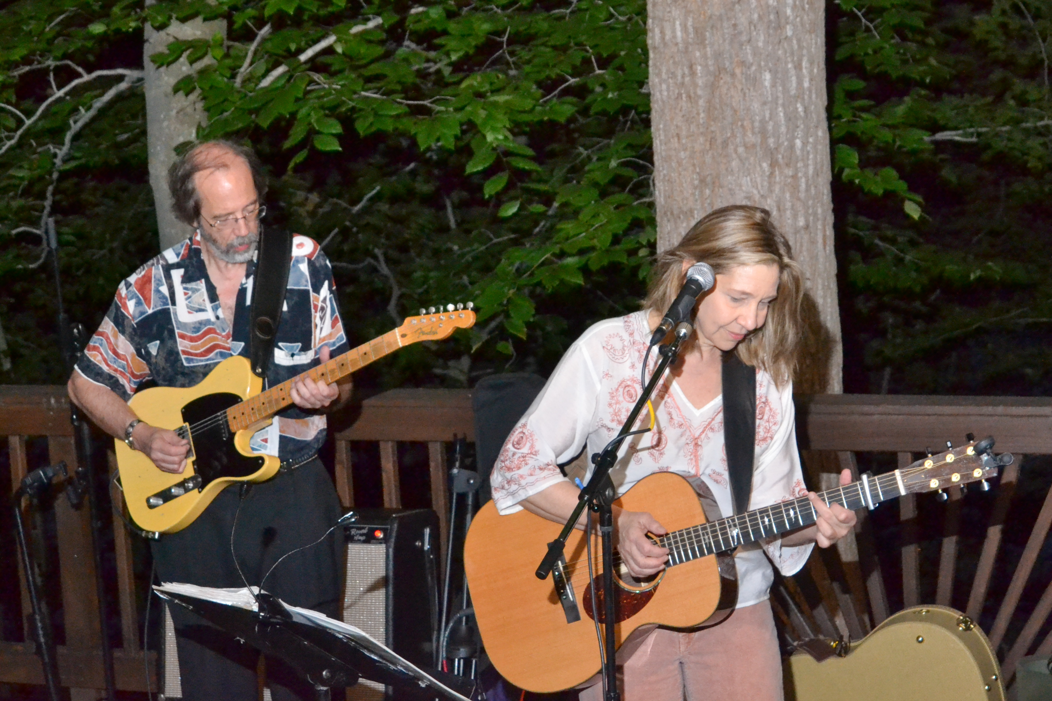 Mary Ann Redmond Rocks the White House! | The Bohemian Home Journal